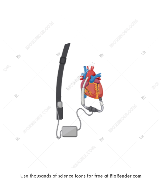 Free Left ventricular assist device (on heart) Icons, Symbols & Images ...
