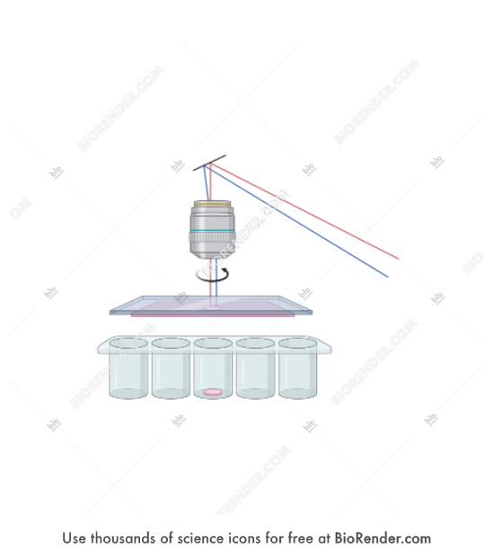 Free Laser microdissection Icons, Symbols & Images | BioRender