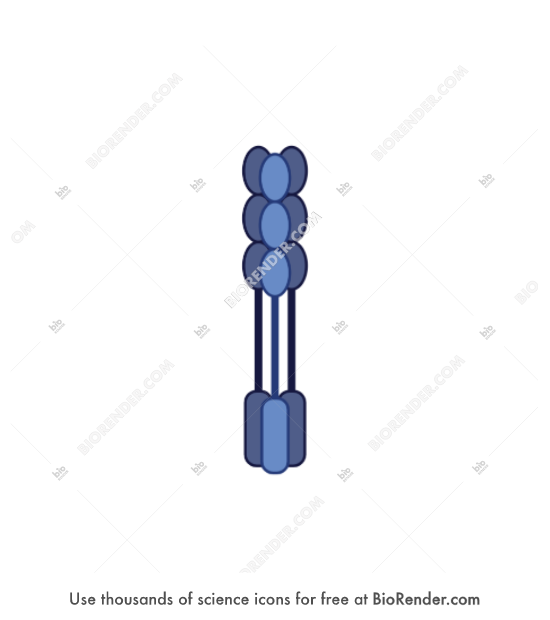 Free Fas receptor (trimer) Icons, Symbols & Images | BioRender