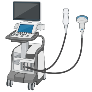 Echocardiogram (with ultrasound probes) | Editable Science Icons from ...