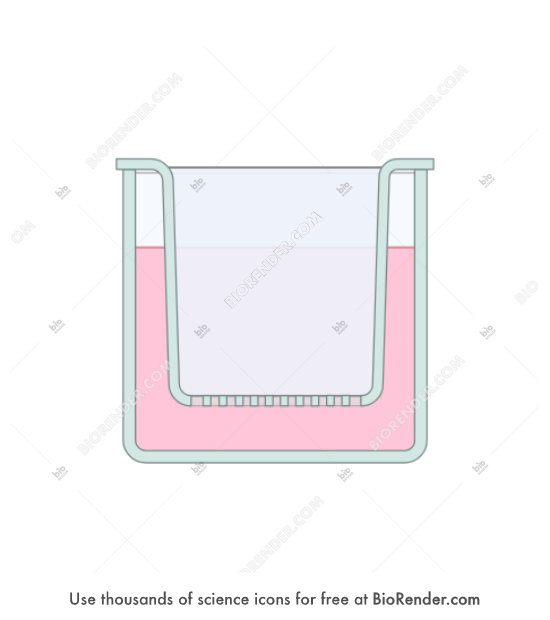 Free Transwell filter (side view, 2) Icons, Symbols & Images | BioRender