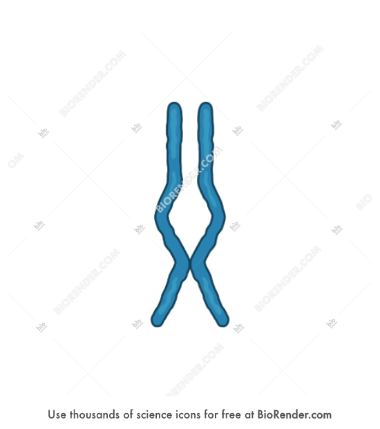 Free TPO receptor (active) Icons, Symbols & Images | BioRender
