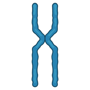 TPO receptor (inactive) | Editable Science Icons from BioRender