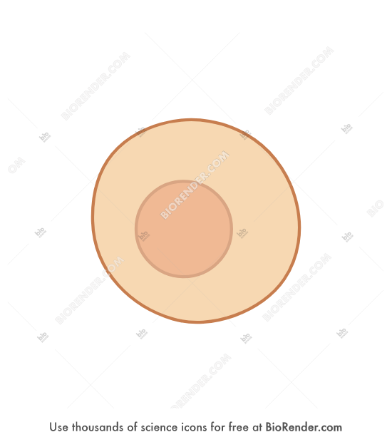 Free Spheroidal cell Icons, Symbols & Images | BioRender