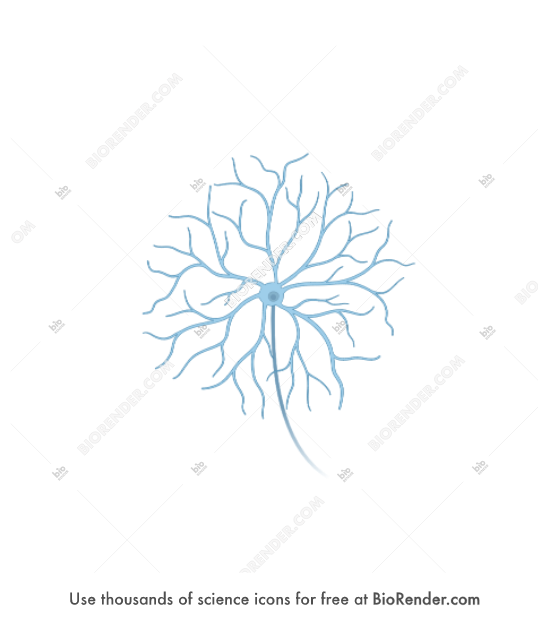 Free Retinal ganglion cell (with dendrites and axon) Icons, Symbols ...