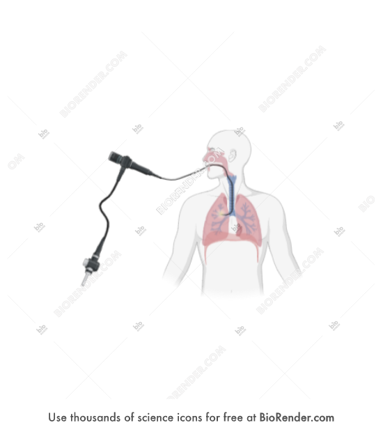 Free Bronchoscopy (with bronchoscope) Icons, Symbols & Images | BioRender