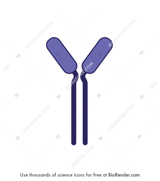 Free CTLA-4 (dimer) Icons, Symbols & Images | BioRender