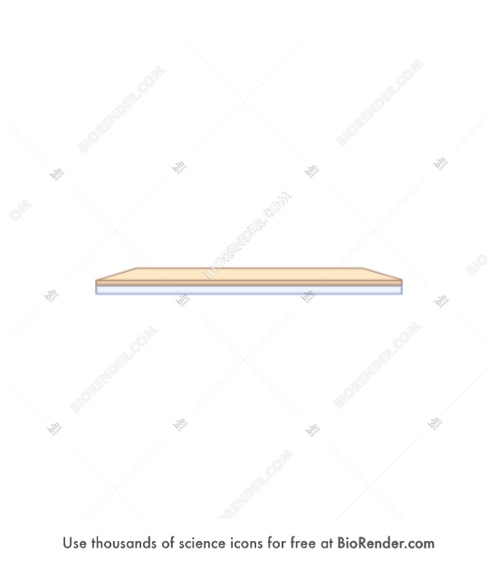 Free Tissue layer Icons, Symbols & Images | BioRender