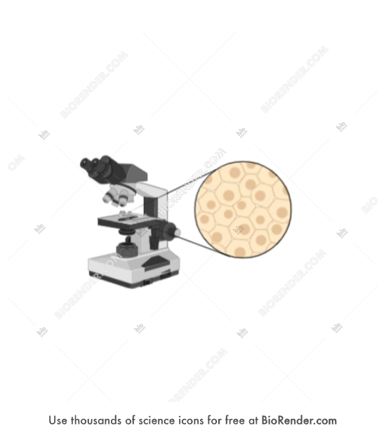 Free Microscope (tissue sample) Icons, Symbols & Images | BioRender