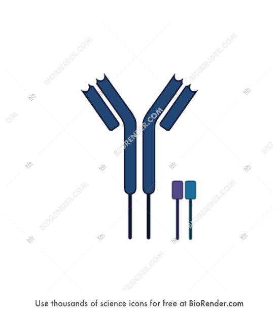 Free BCR (with CD79) Icons, Symbols & Images | BioRender