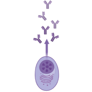 Free Plasma cell Icons, Symbols & Images | BioRender