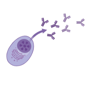 Free Plasma cell Icons, Symbols & Images | BioRender