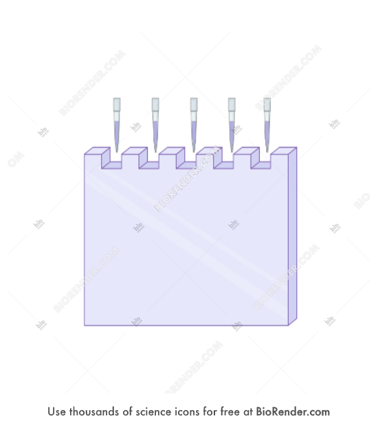 Free Gel (with big pipette tips) Icons, Symbols & Images | BioRender