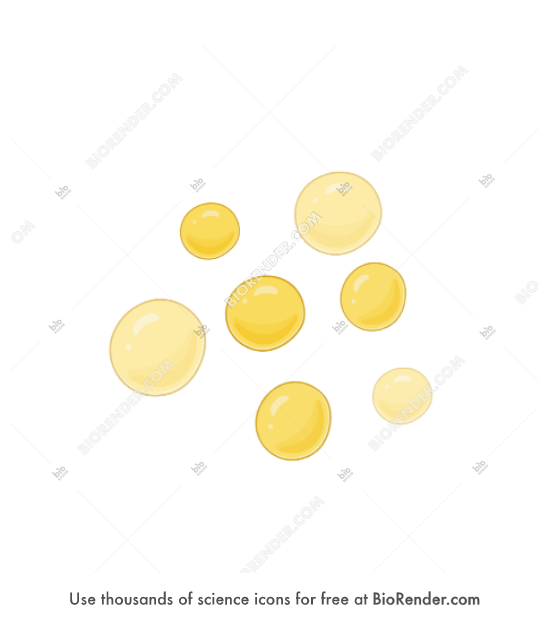 Free Fat droplets Icons, Symbols & Images | BioRender