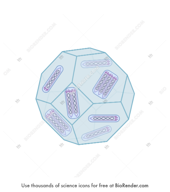 Free NPV (occlusion body) Icons, Symbols & Images | BioRender