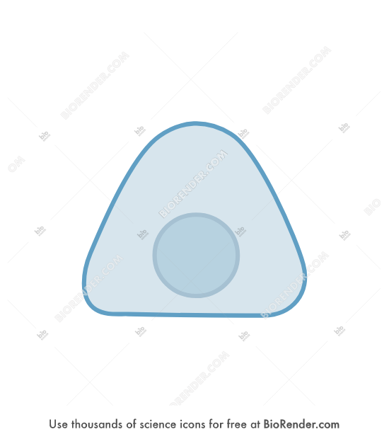 Free Triangular cell Icons, Symbols & Images | BioRender
