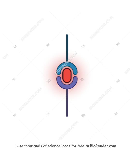 Free Generic receptor interaction (highlighted) Icons, Symbols & Images ...