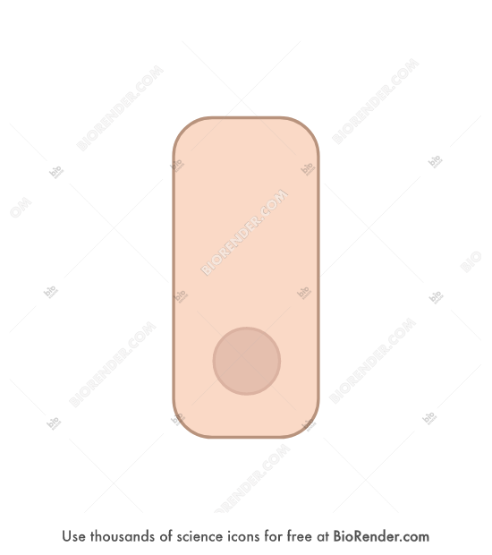 Free Columnar cell Icons, Symbols & Images | BioRender