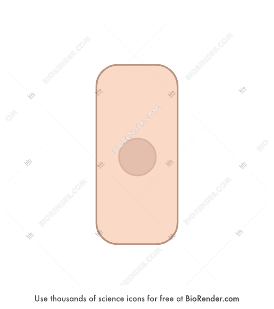 Free Columnar cell (central nucleus) Icons, Symbols & Images | BioRender