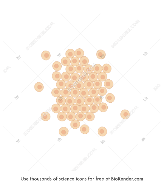 Free Spheroidal cell (cluster 3) Icons, Symbols & Images | BioRender