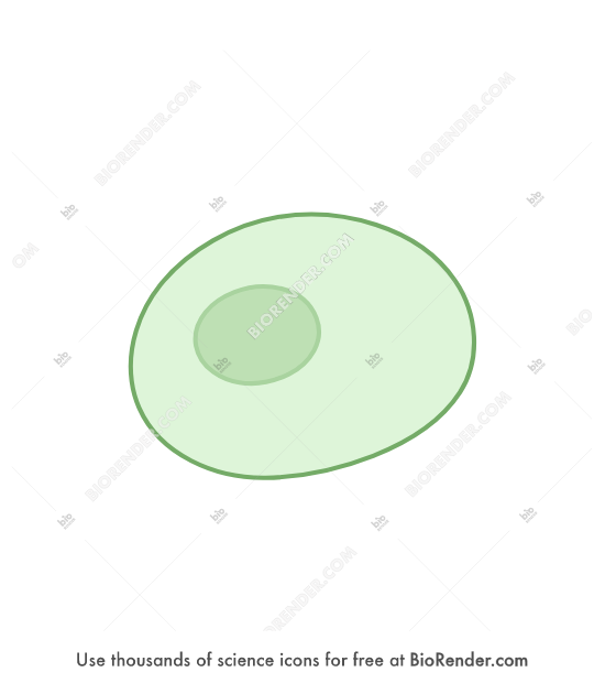 Free Neural crest stem cell Icons, Symbols & Images | BioRender