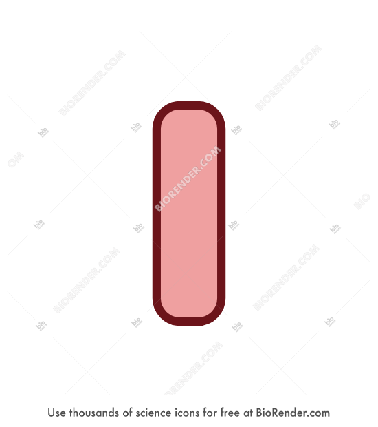 Free Type 2 secretion system (GspI) Icons, Symbols & Images | BioRender