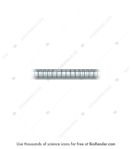 Free Rodent challenging beam Icons, Symbols & Images | BioRender