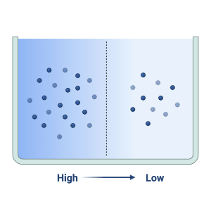 Free Well plate (side view, concentration gradient) Icons, Symbols ...