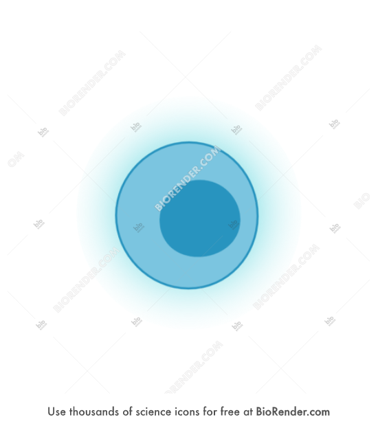 Free Lymphocyte (t-cell, active, blue) Icons, Symbols & Images | BioRender