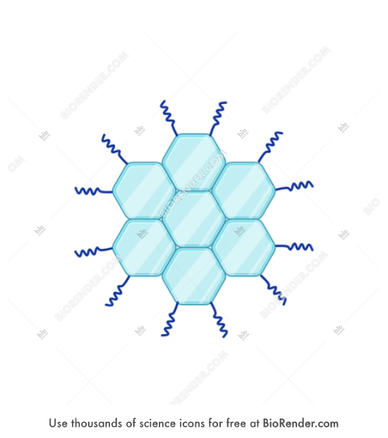 Free Ice crystal (with antifreeze) Icons, Symbols & Images | BioRender