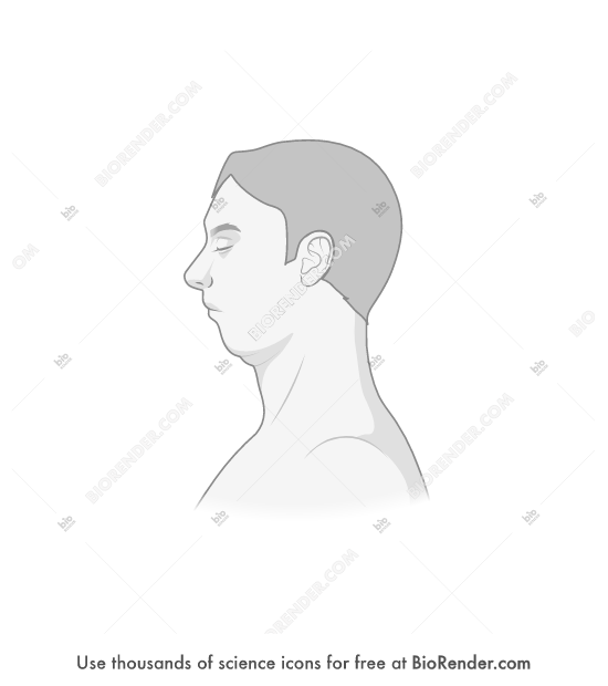 Free Adult male (retrognathia, head, lateral) Icons, Symbols & Images ...