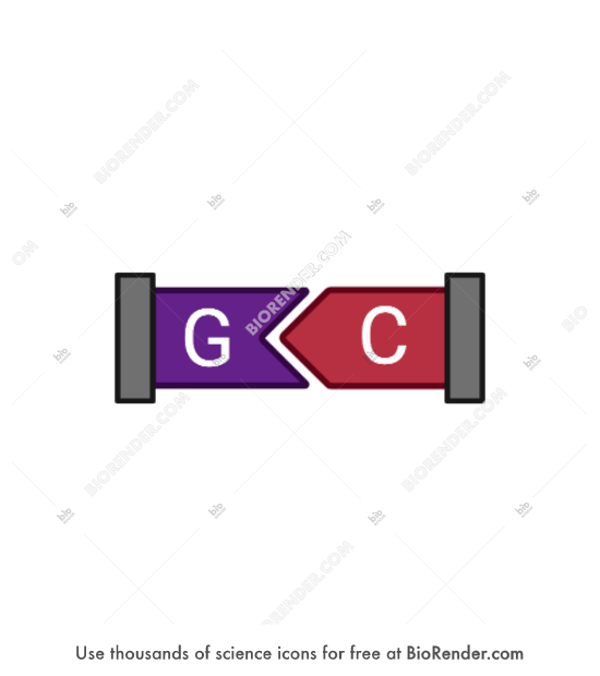 Free Base pair (G-C, horizontal) Icons, Symbols & Images | BioRender