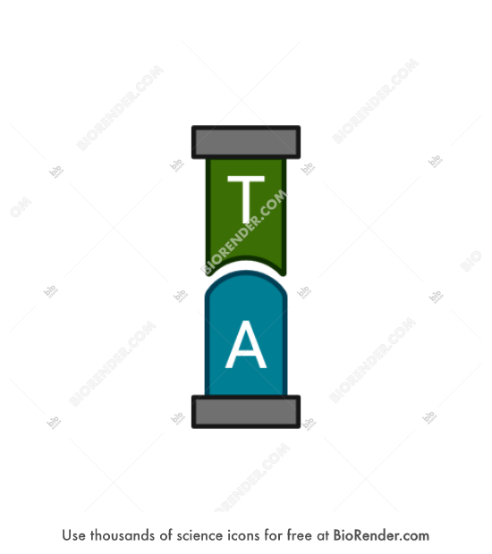 Free Base pair (A-T, vertical) Icons, Symbols & Images | BioRender