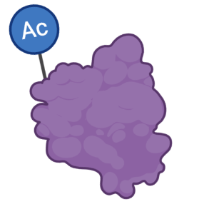 Free Generic protein (2 grooves) Icons, Symbols & Images | BioRender