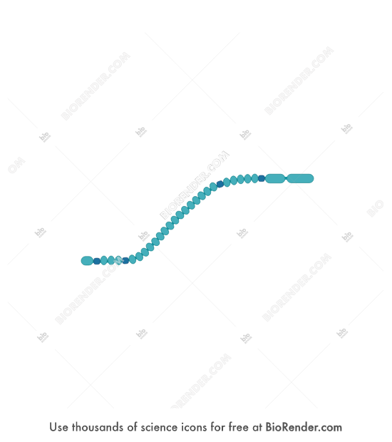 Free Dystrophin Icons, Symbols & Images | BioRender