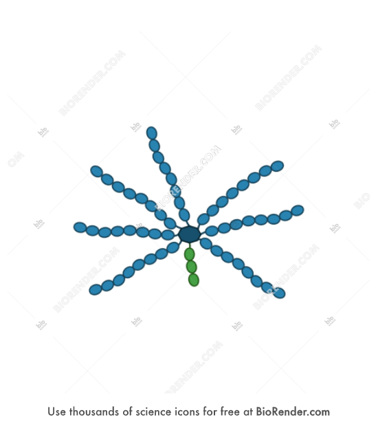 Free C4b-binding protein Icons, Symbols & Images | BioRender