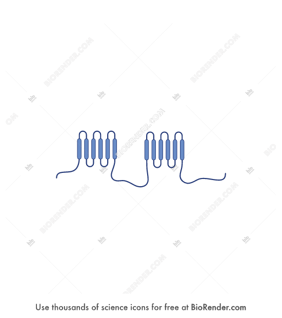 Free Adenylyl Cyclase Icons, Symbols & Images | BioRender