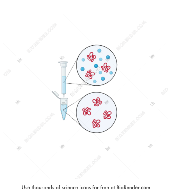 Free Protein purification Icons, Symbols & Images | BioRender