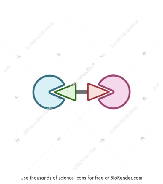 Free Enzyme-ligand complex (PROTAC) Icons, Symbols & Images | BioRender