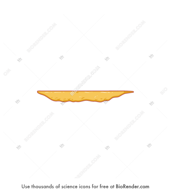 Free Arterial fat Icons, Symbols & Images | BioRender