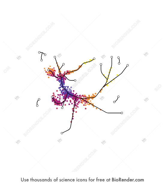 Free scRNA data Icons, Symbols & Images | BioRender