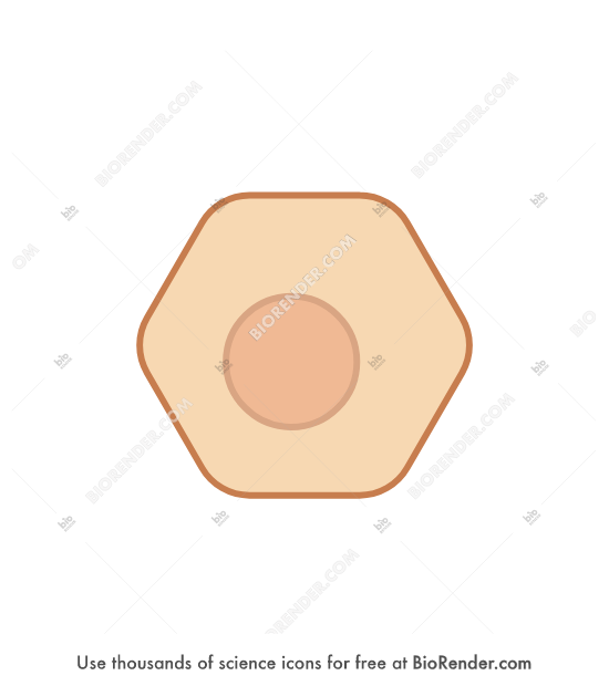 Free Hexagonal cell Icons, Symbols & Images | BioRender