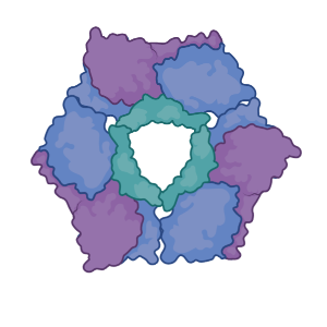 Viral genome (coiled, long) | Editable Science Icons from BioRender