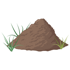 Free Ant colony (with grass) Icons, Symbols & Images | BioRender