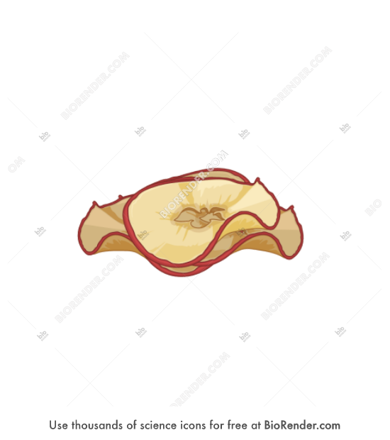 Free Apple (dried, slices) Icons, Symbols & Images | BioRender