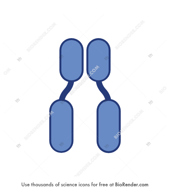 Free NF-kB Icons, Symbols & Images | BioRender