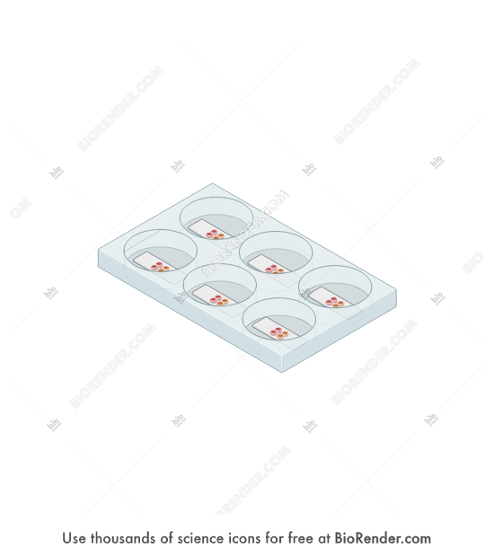 Free 6 well plate (with microfluidic devices) Icons, Symbols & Images ...
