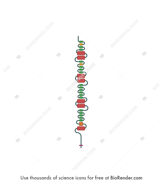 Free Stabilin-2 Icons, Symbols & Images | BioRender