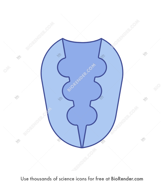 Free Carrier protein (three binding sites) Icons, Symbols & Images ...