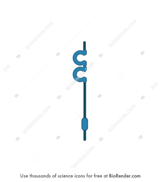 Free CD147 Icons, Symbols & Images | BioRender